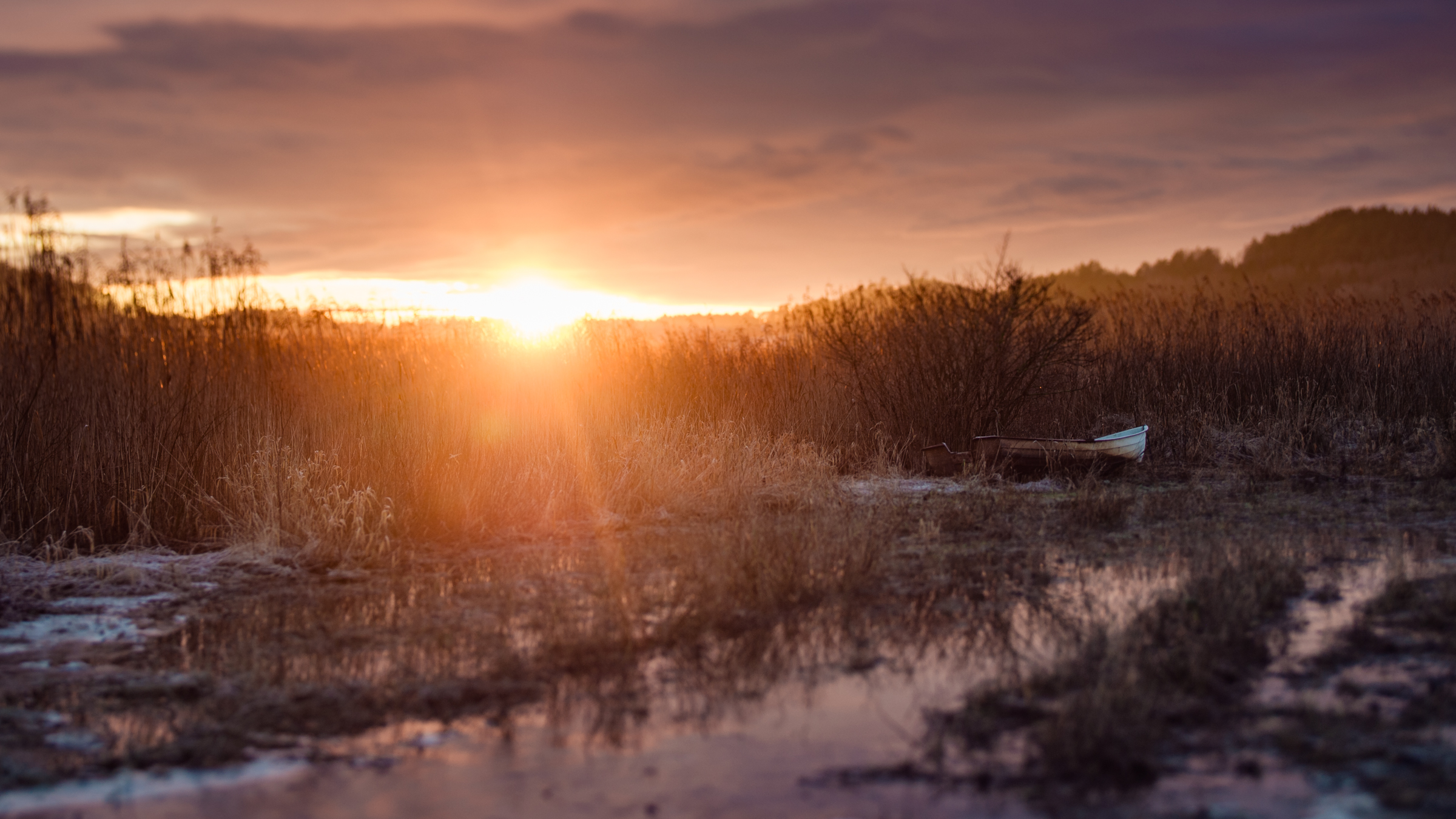 Low winter sun makes even soil look luscious - Lensbirdie